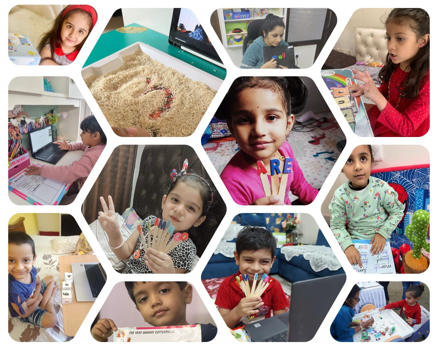 Growing Roots – LMS